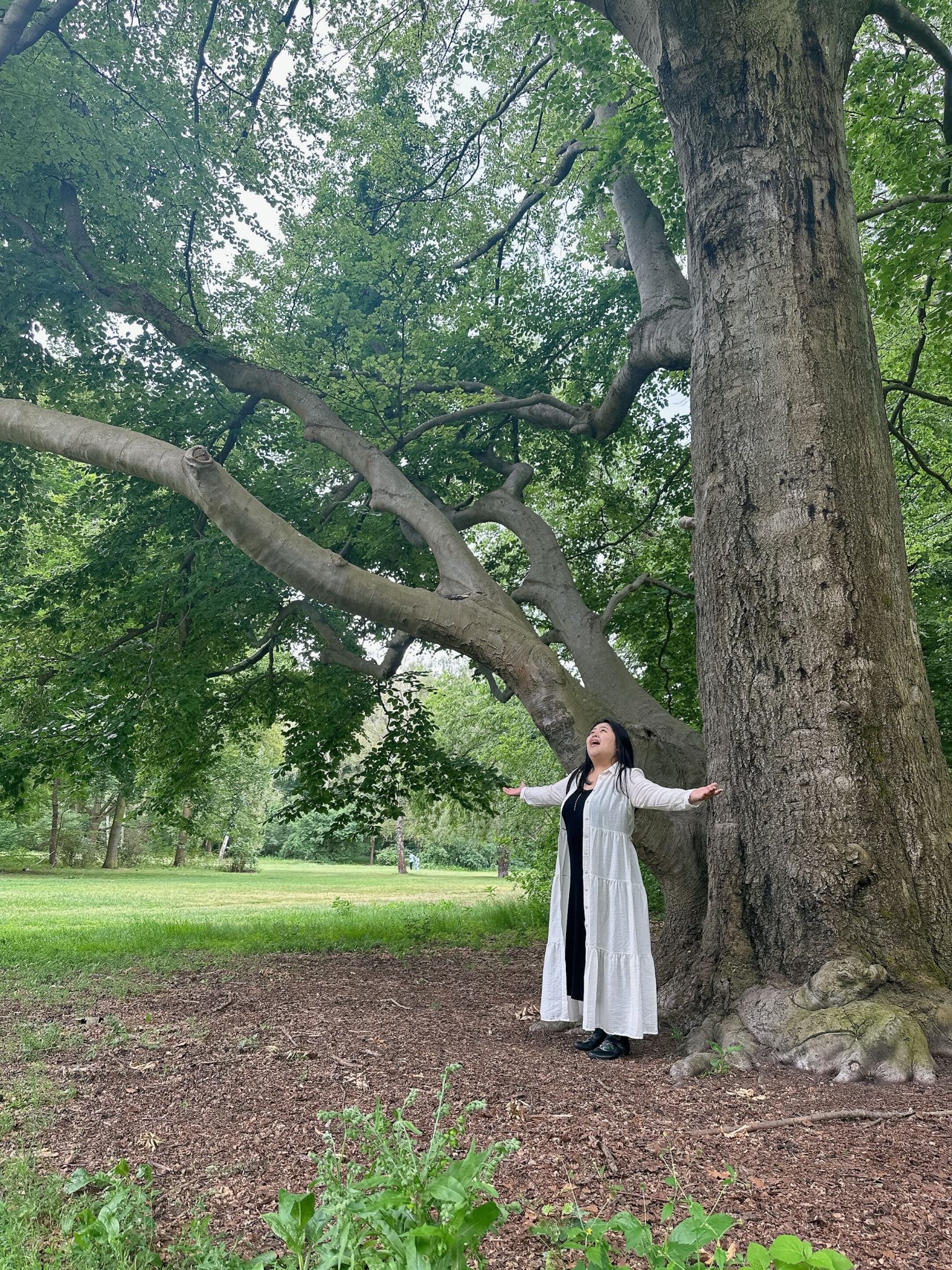 8/23土 オーケストラに…堀澤麻衣子が歌唱 NHK Eテレ「アン・シャーリー」 - 堀澤麻衣子 公式サイト